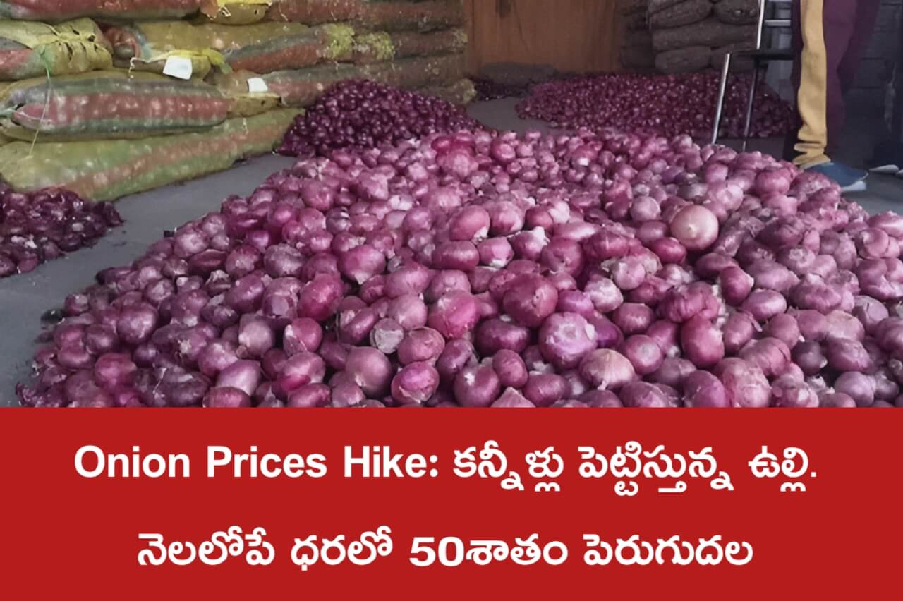 Onion Prices: 50 Percent Increase In Price Within A Month